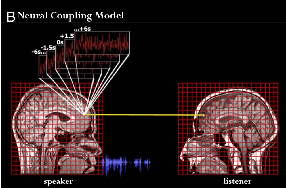 Neural Coupling Model - The Vision Room